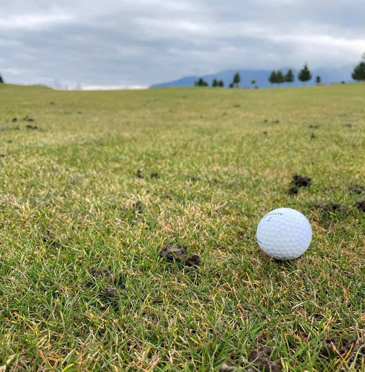 How to Stop Topping the Golf Ball: Techniques for Better Contact and ...